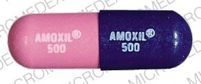 Amoxil